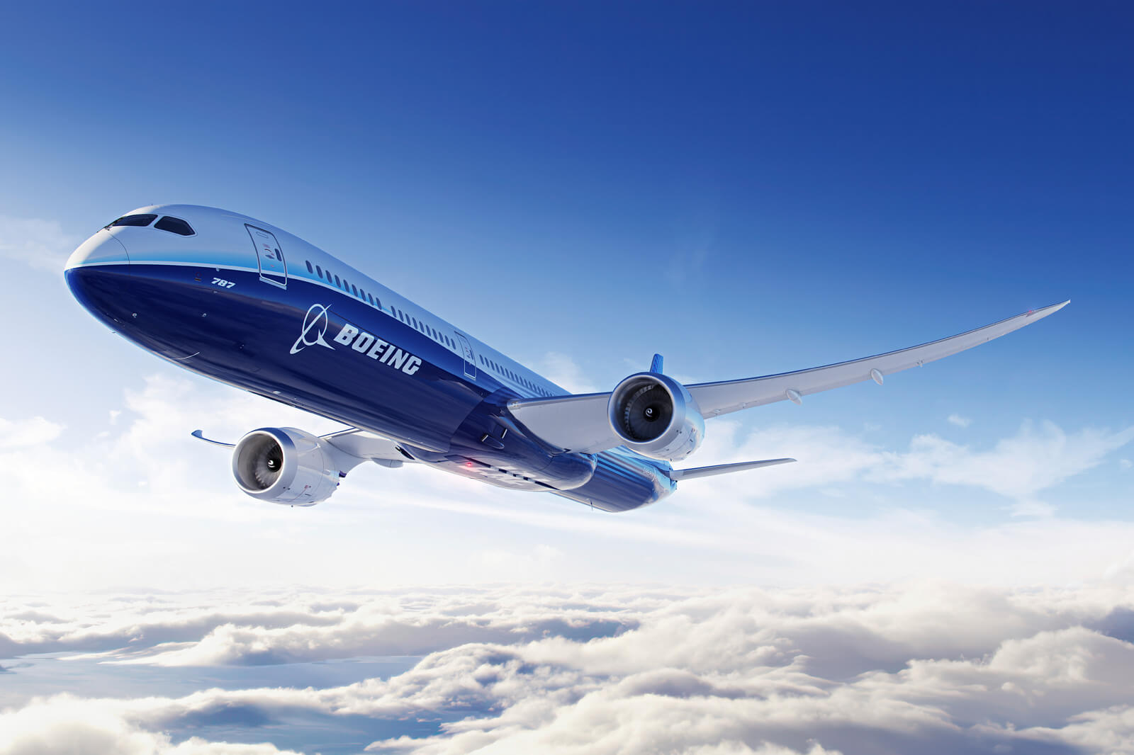 Boeing 787 Dreamliner | Long-Haul Group & VIP Jet Rental